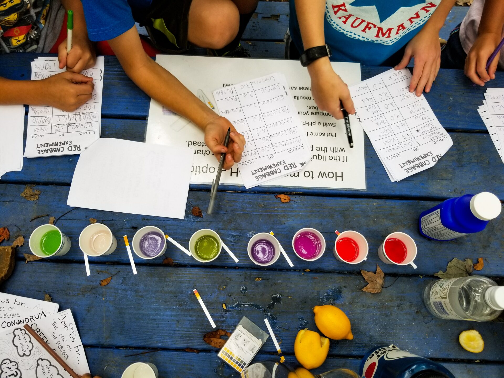 When Water, Ecology, and Agriculture are Left Out: What You Need to ...