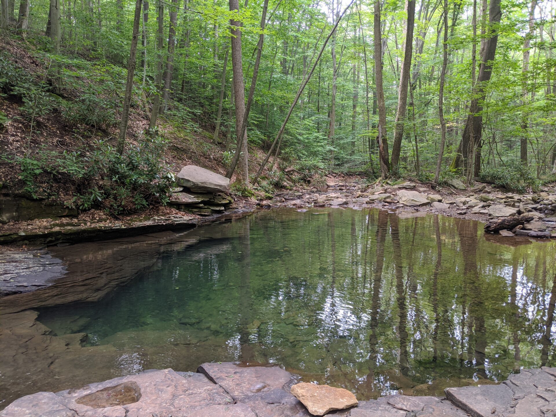 Swim Season 2021 is upon us! - Mountain Watershed Association